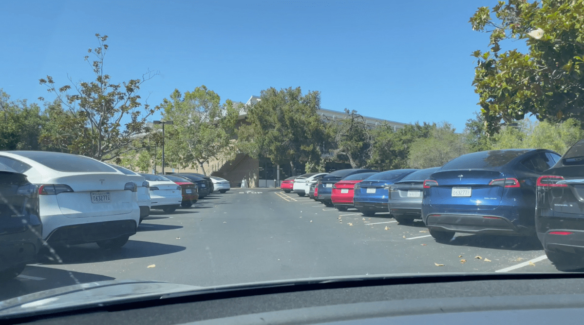 Teslas Teslas Teslas – The Last Driver License Holder…