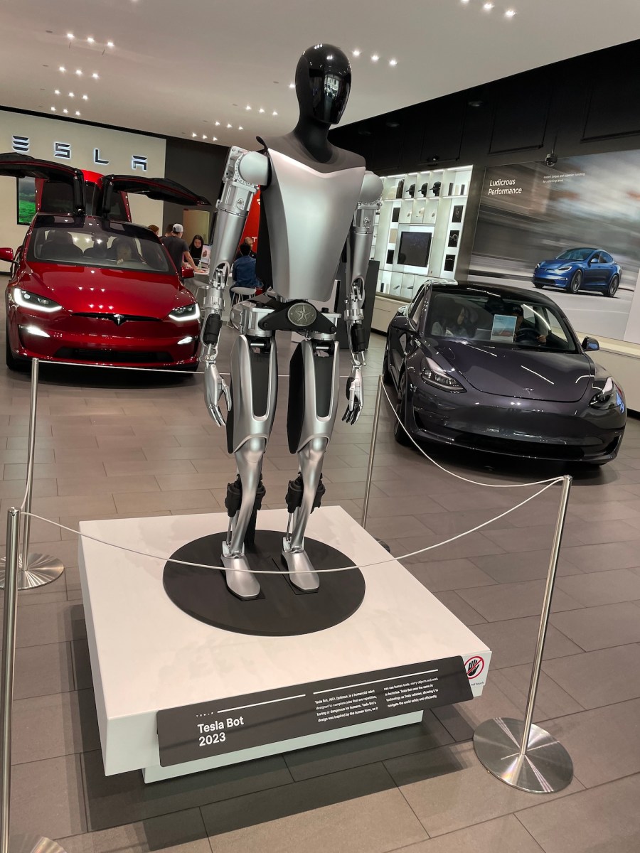 Tesla Bot Up Close – The Last Driver License Holder…